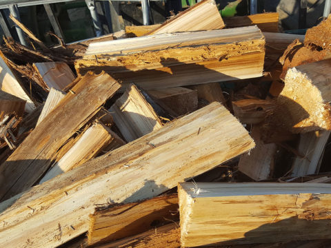 Wood Products For Sale - Treeline, Inc.