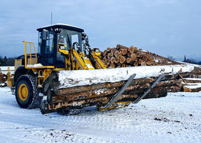 Career Opportunities at Treeline, Inc.