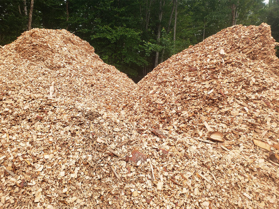 Hemlock Wood Chips For Sale — Chester, Maine - Treeline, Inc.