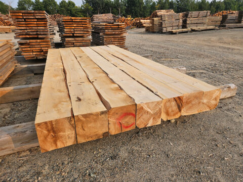 Hemlock Lumber - Treeline, Inc.