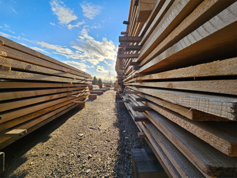 Hemlock Lumber - Treeline, Inc.