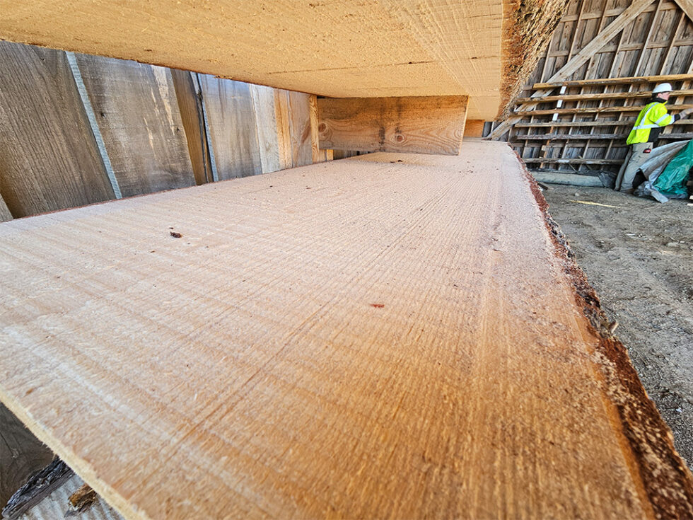 Hemlock Lumber - Treeline, Inc.