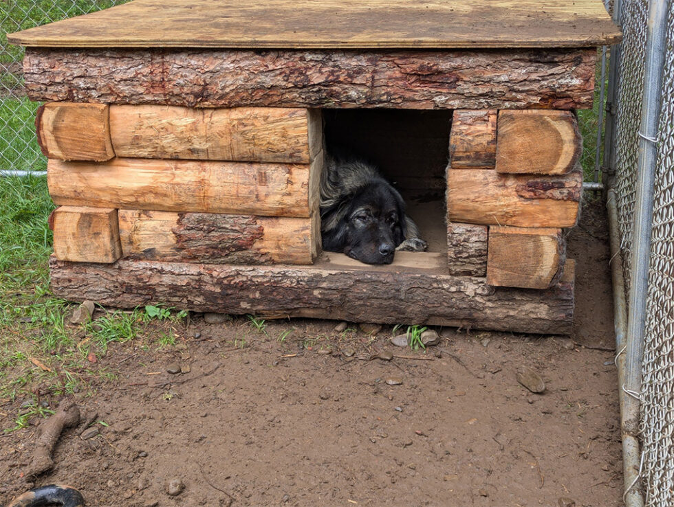 Hemlock Lumber - Treeline, Inc.