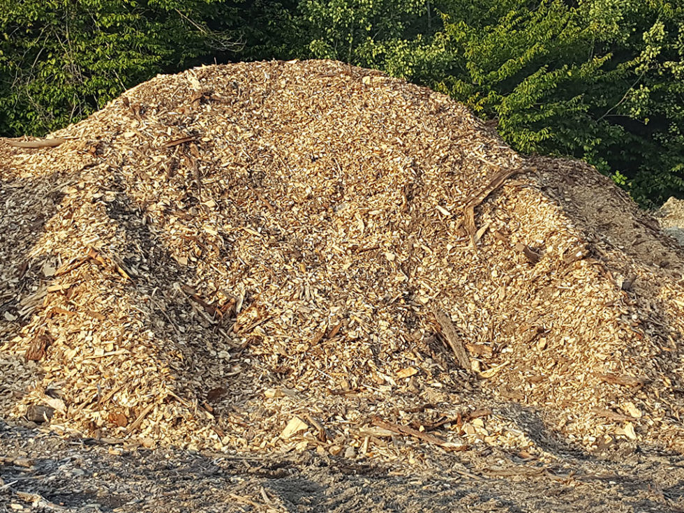 Wood Products For Sale - Treeline, Inc.